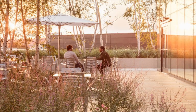 OJBLab: Temperature - OJB Landscape Architecture