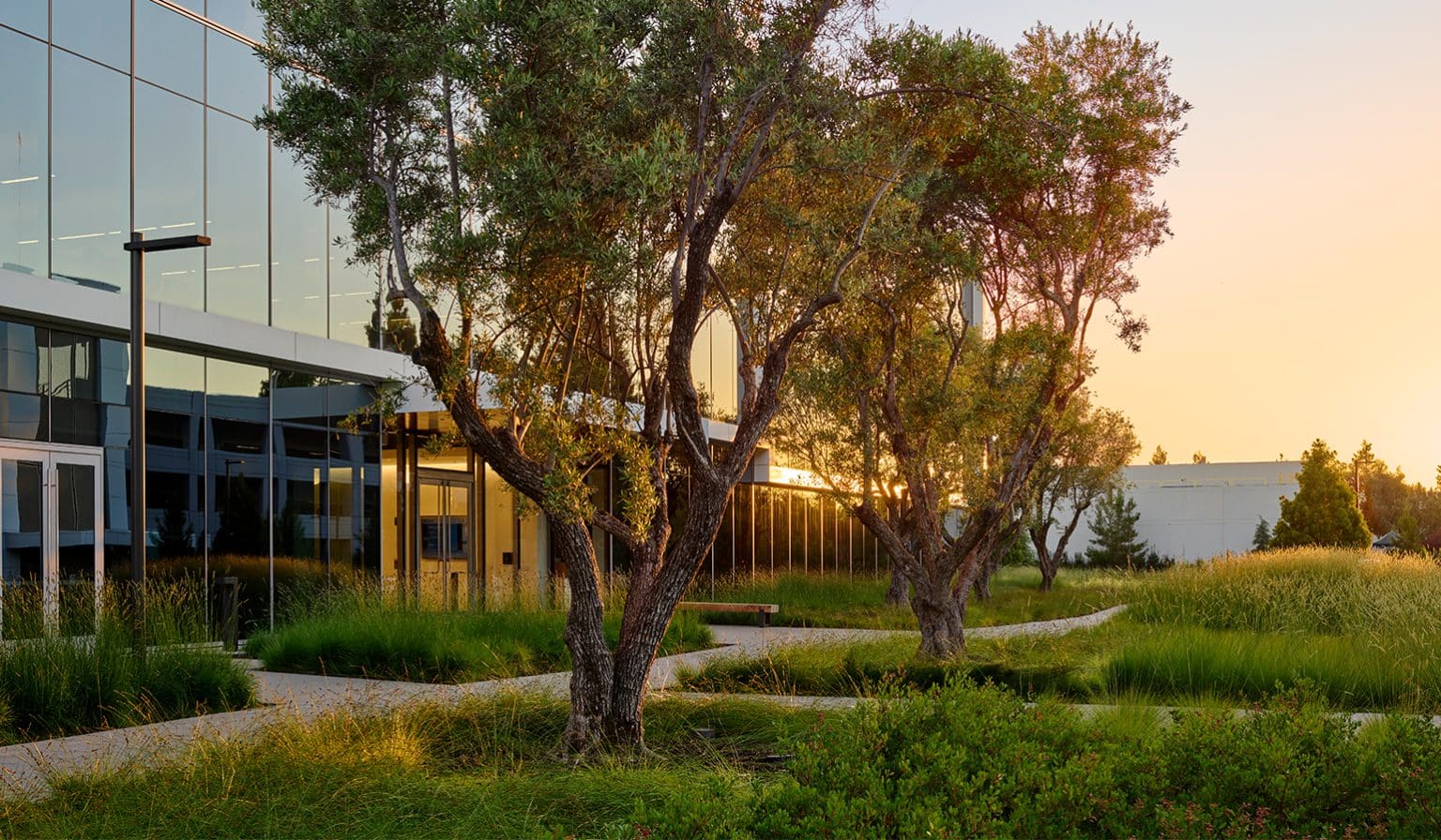 Pathline Park - OJB Landscape Architecture