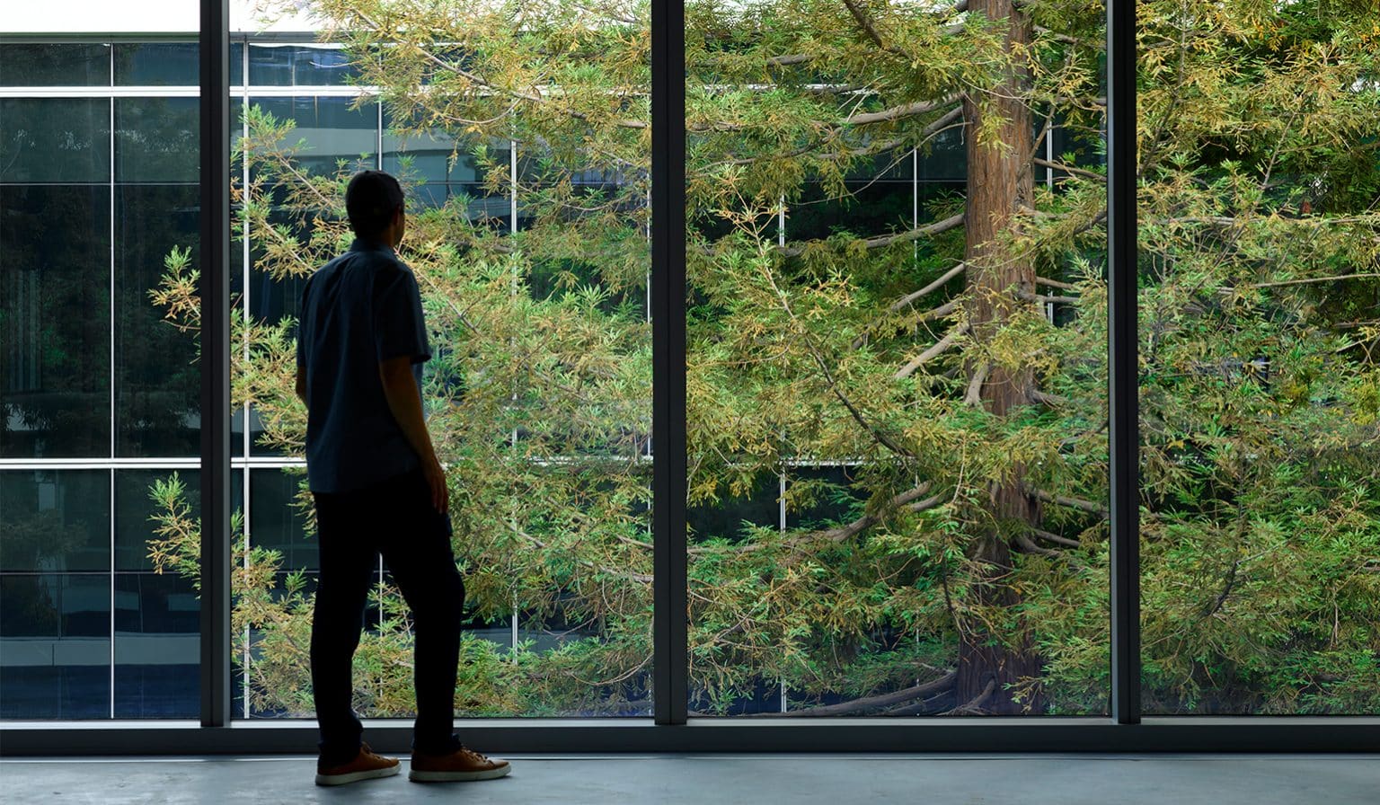 Pathline Park - OJB Landscape Architecture