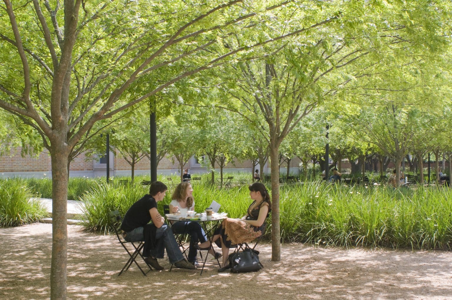 Rice University - Brochstein Pavilion - OJB Landscape Architecture