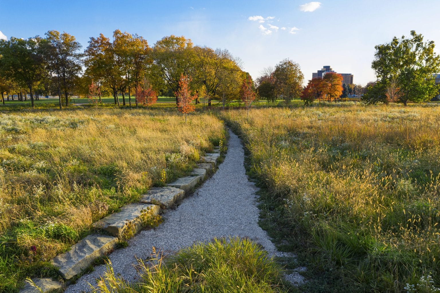 Arjay Miller Arboretum at Ford World Headquarters - OJB Landscape Architecture