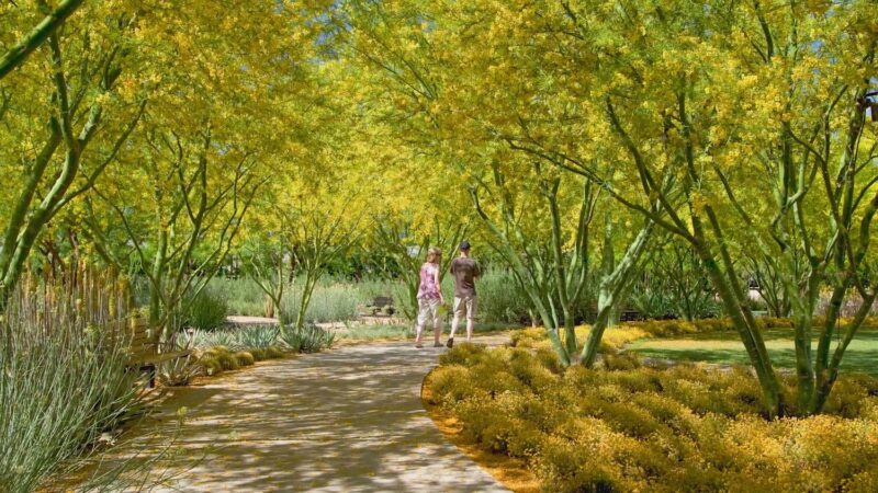 Sunnylands Center & Gardens - OJB Landscape Architecture