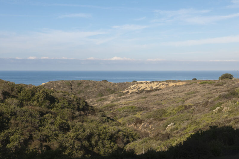 Salk Institute Master Plan - OJB Landscape Architecture