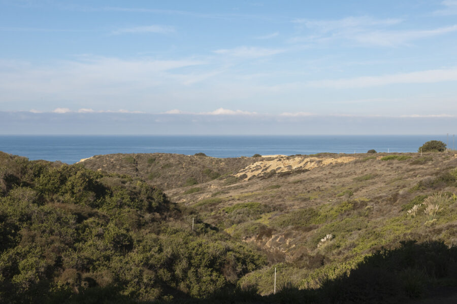 Salk Institute Master Plan - OJB Landscape Architecture